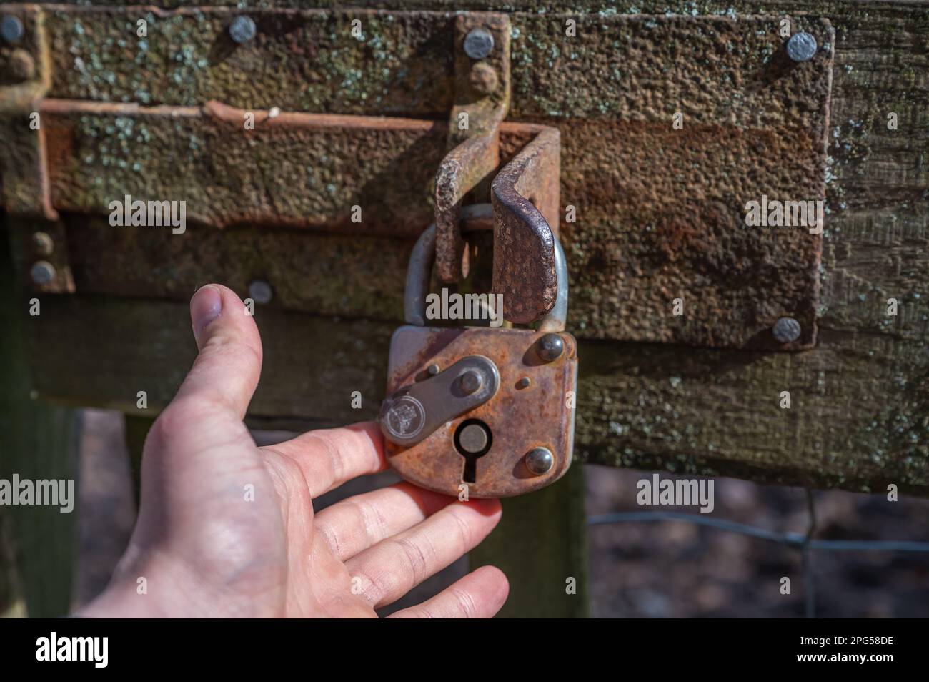 Close-up man touching an old wooden Door with a rusty brown lock in ...