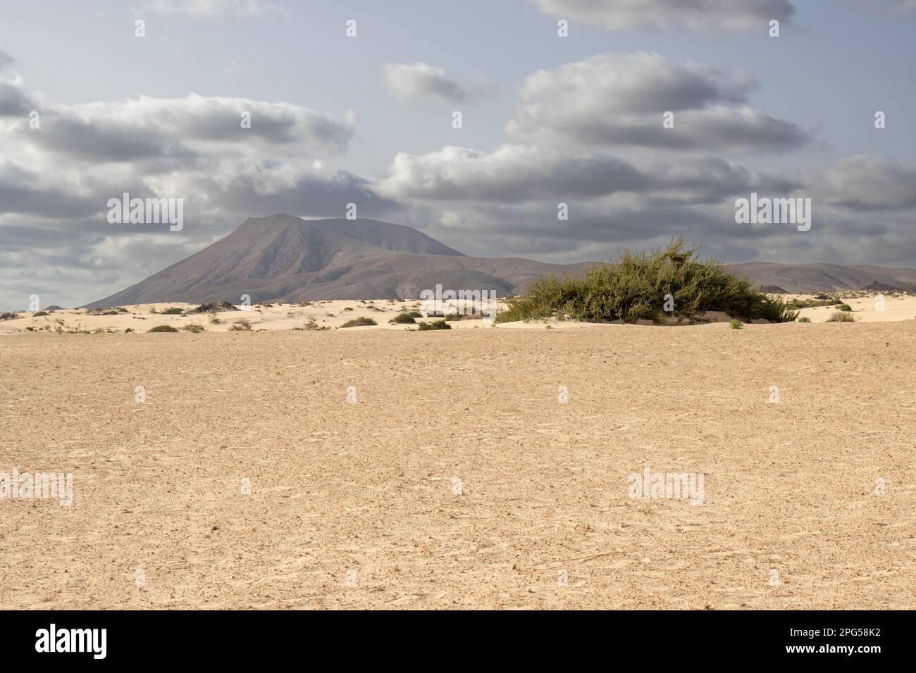 Unique european desert in the winter. Green spots of plants. Mountain ...
