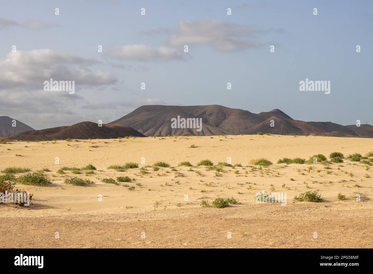 Unique european desert in the winter. Green spots of plants. Mountain ...