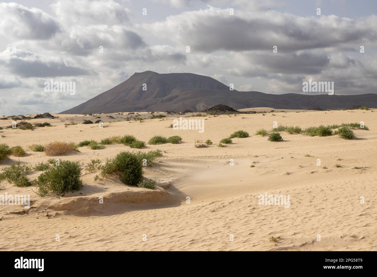 Unique european desert in the winter. Green spots of plants. Mountain ...