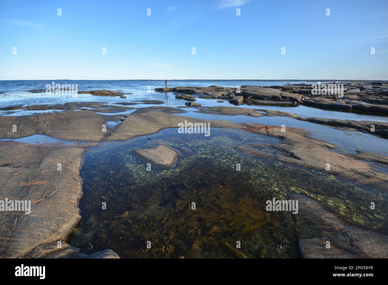 The White Sea. Summer seascape in East Karelia, Russia Stock Photo - Alamy