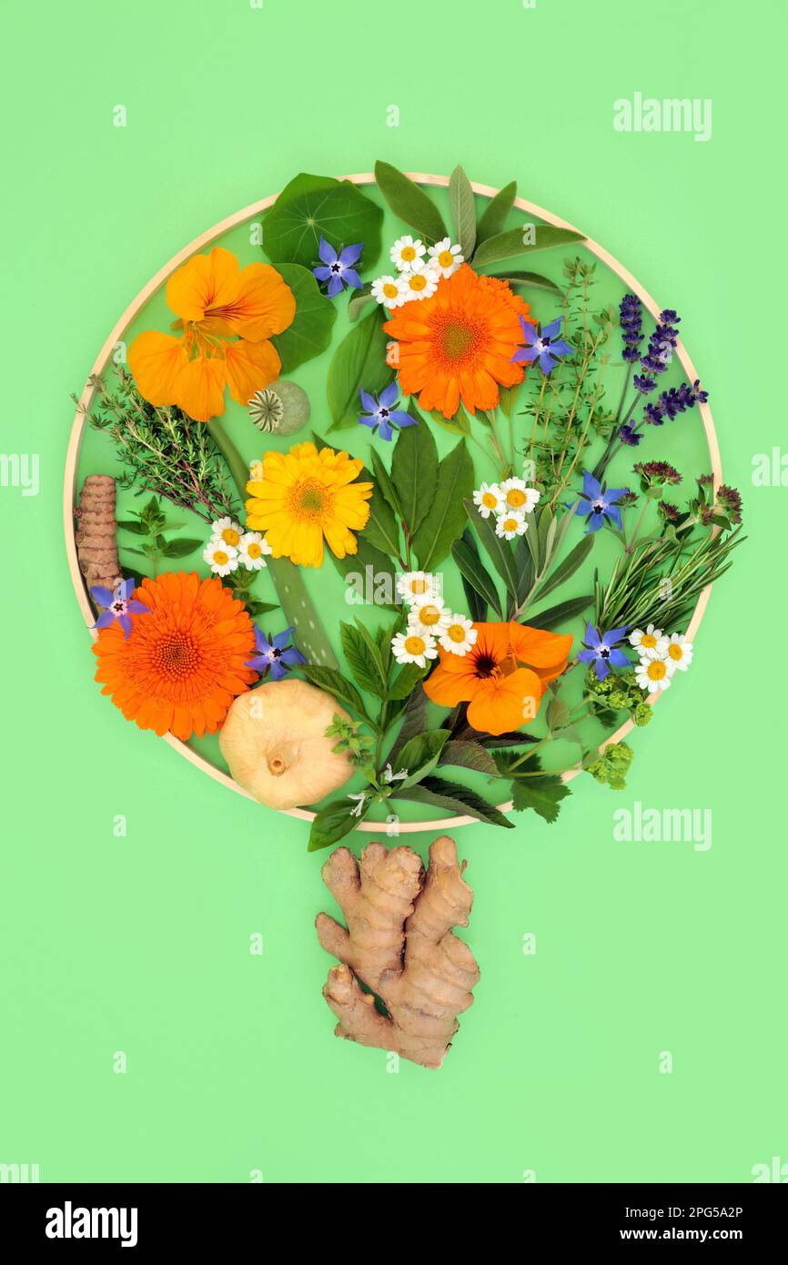 Surreal edible summer flowers and herb tree concept shape. Flora used ...