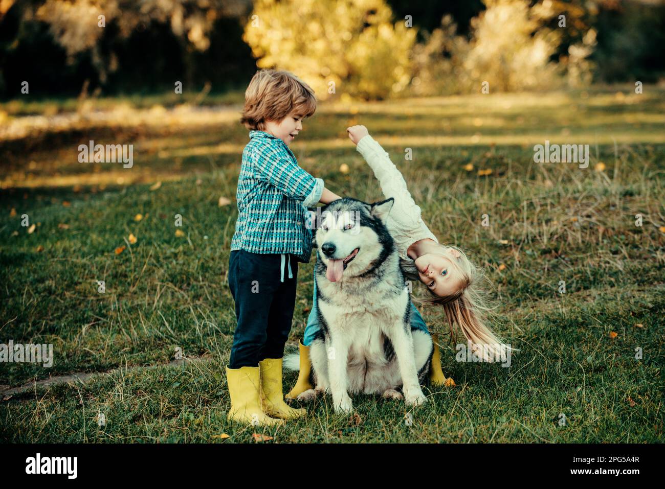Funny children boy and girl with dog walk together on green hill ...