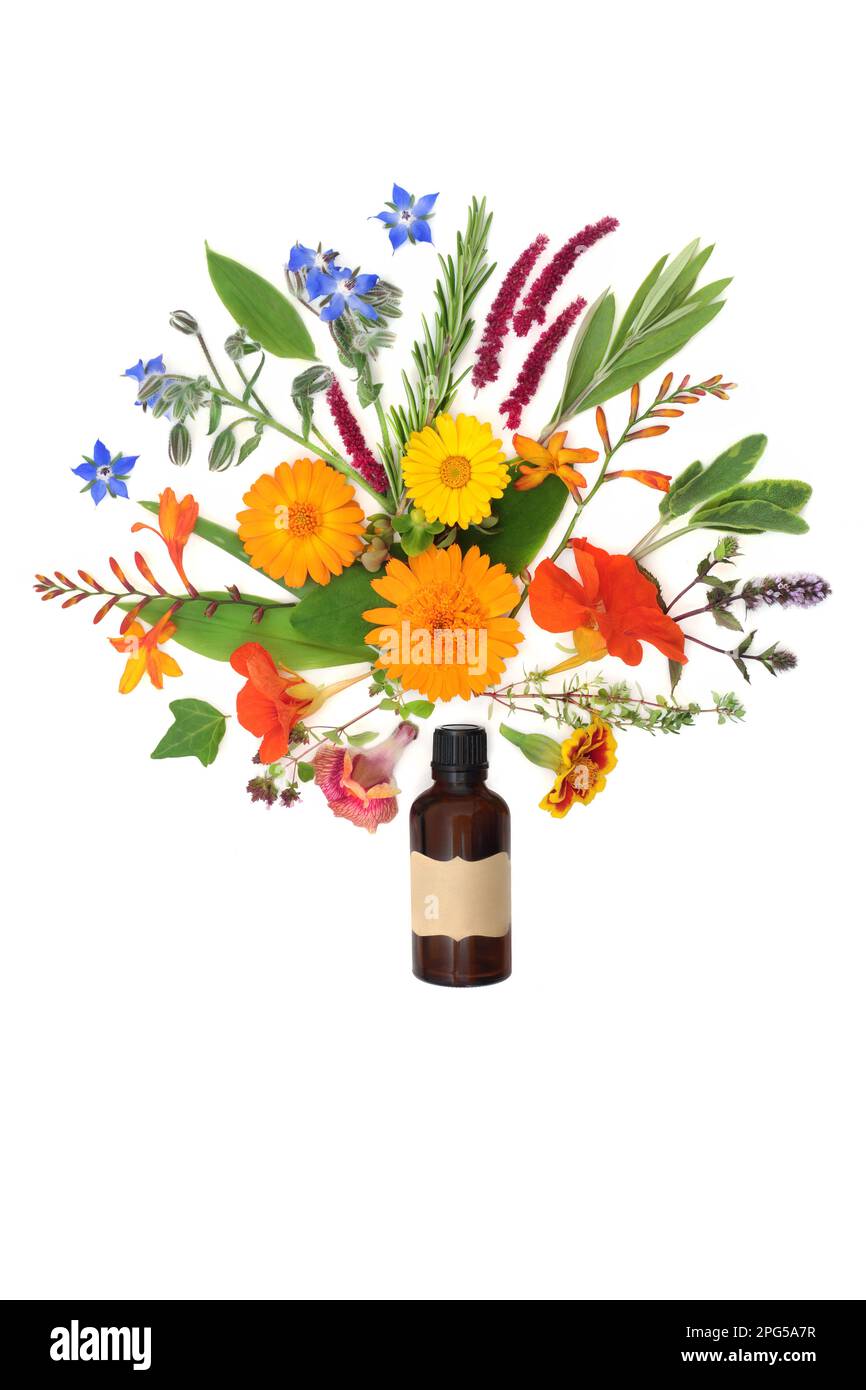 Surreal summer flower, wildflower and herb splash abstract with ...