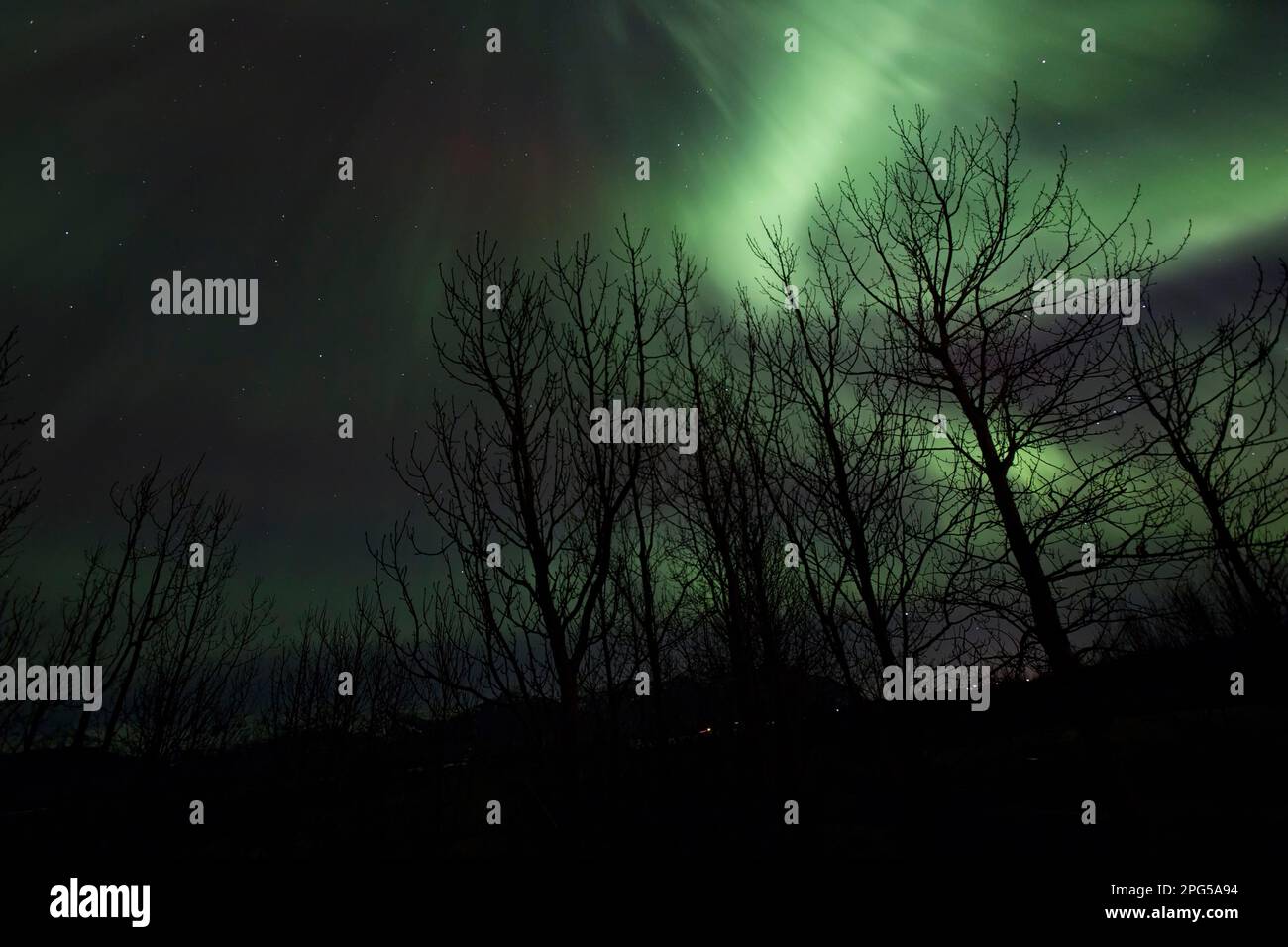Northern lights, Iceland, Aurora Borealis Stock Photo - Alamy Northern lights, Iceland, Aurora Borealis Stock Photo - Alamy
