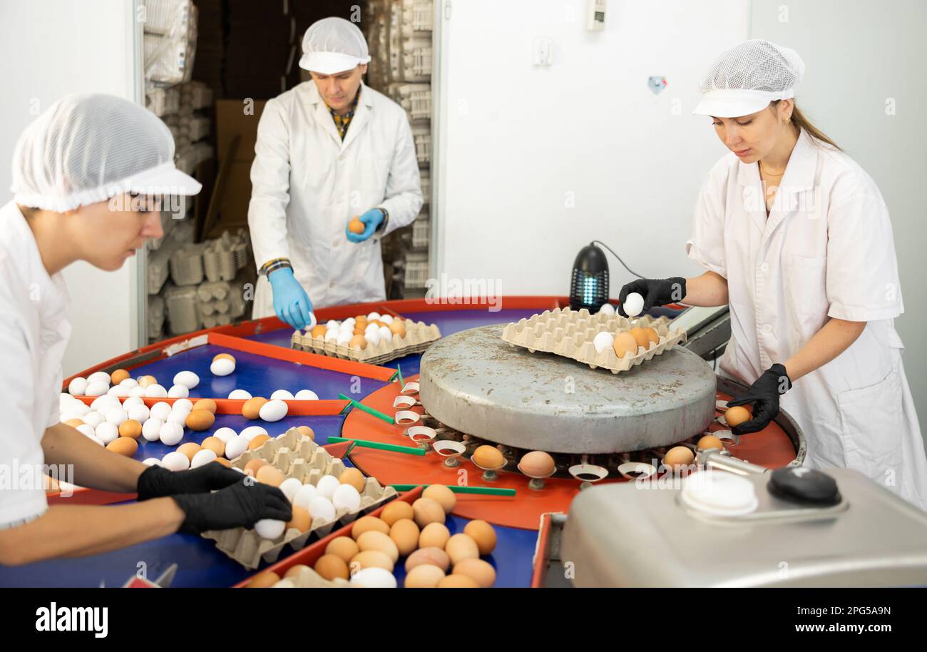 group of people in lab coats and hairnets doing egg quality control in ...