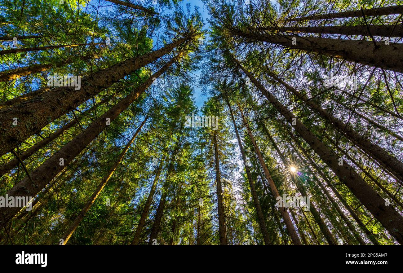 Environment photography hi-res stock photography and images - Alamy