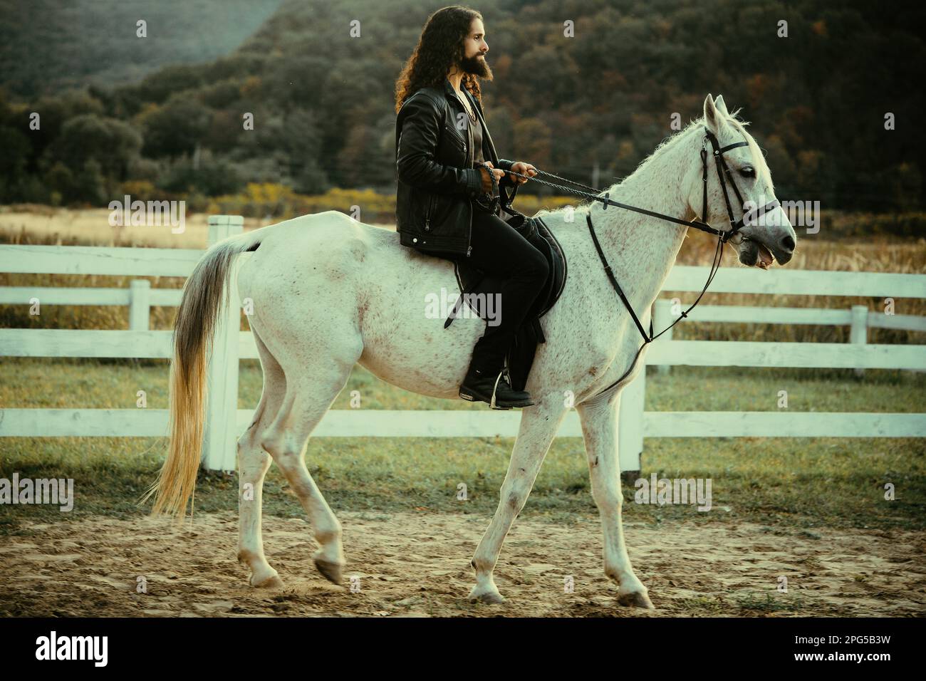 Handsome bearded man riding horse at farm. Beautiful horse with man ...
