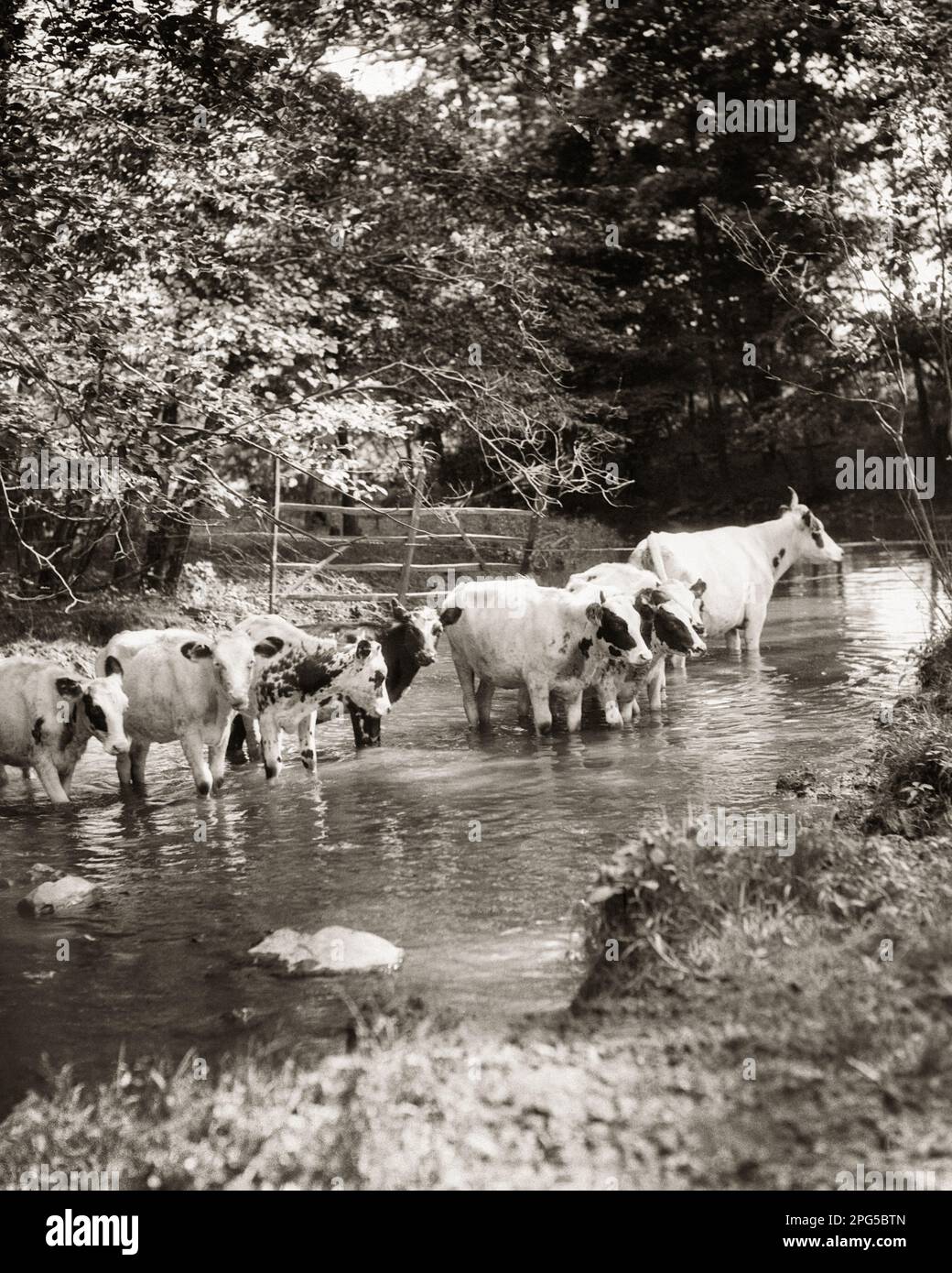 Summer farm 1920s hi-res stock photography and images - Alamy