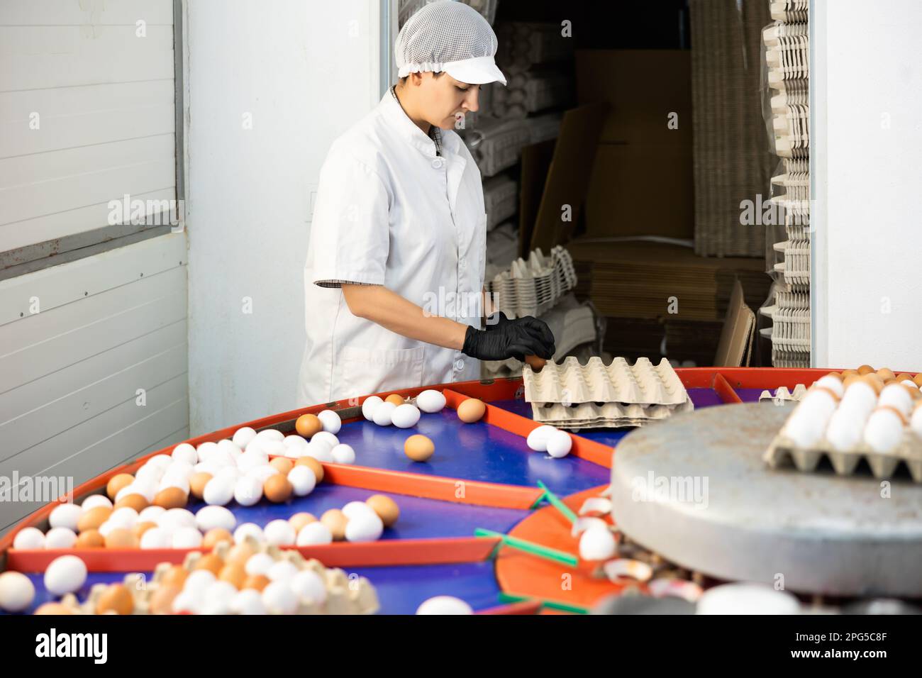 Adult experienced latin woman sorting eggs in chicken farm Stock Photo ...