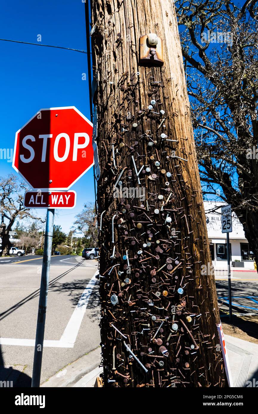 Hundreds of left overs nails, screws, and staples from past posted ...