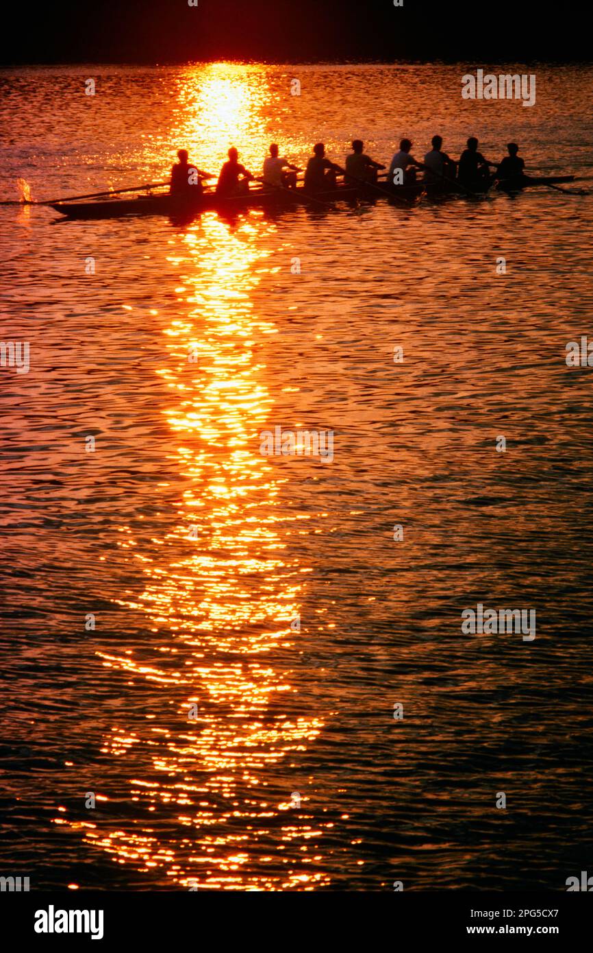 1980s 8 MEN ROWERS AND A COXSWAIN IN A SHELL AN EIGHT ROWING SCULLING ...
