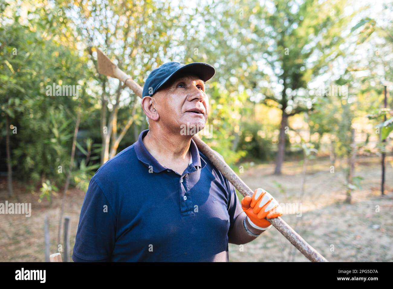Headshot portrait of a senior indigenous mapuche farmer man holding a ...