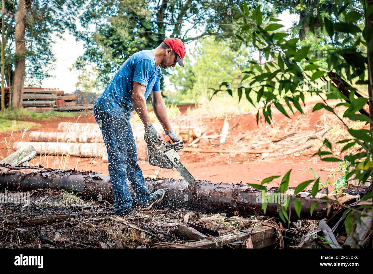 Strong and skilled man working in a sawmill Stock Photo - Alamy