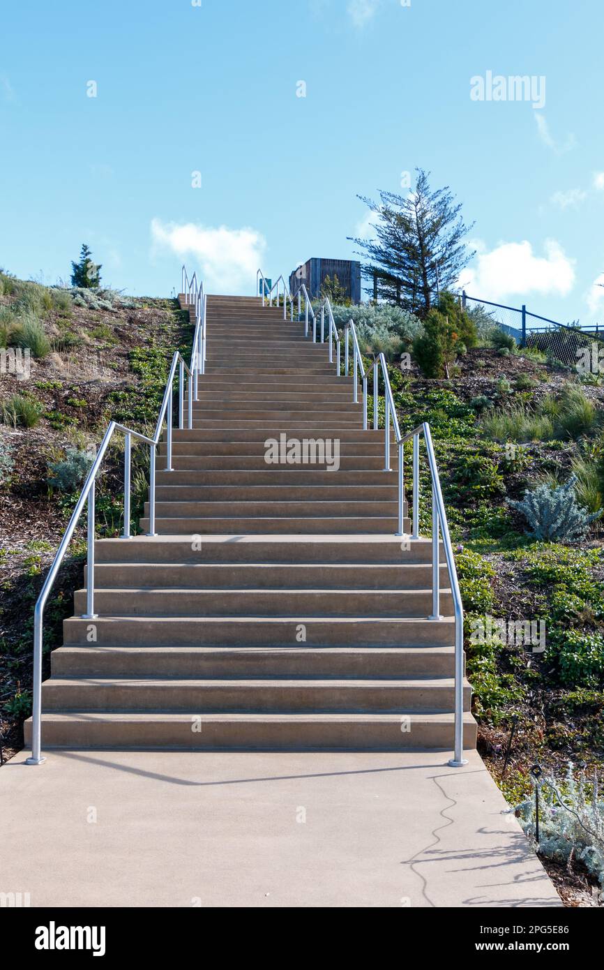 A Brewer's Blackbird sitting on a fence. The bird is facing partly away ...