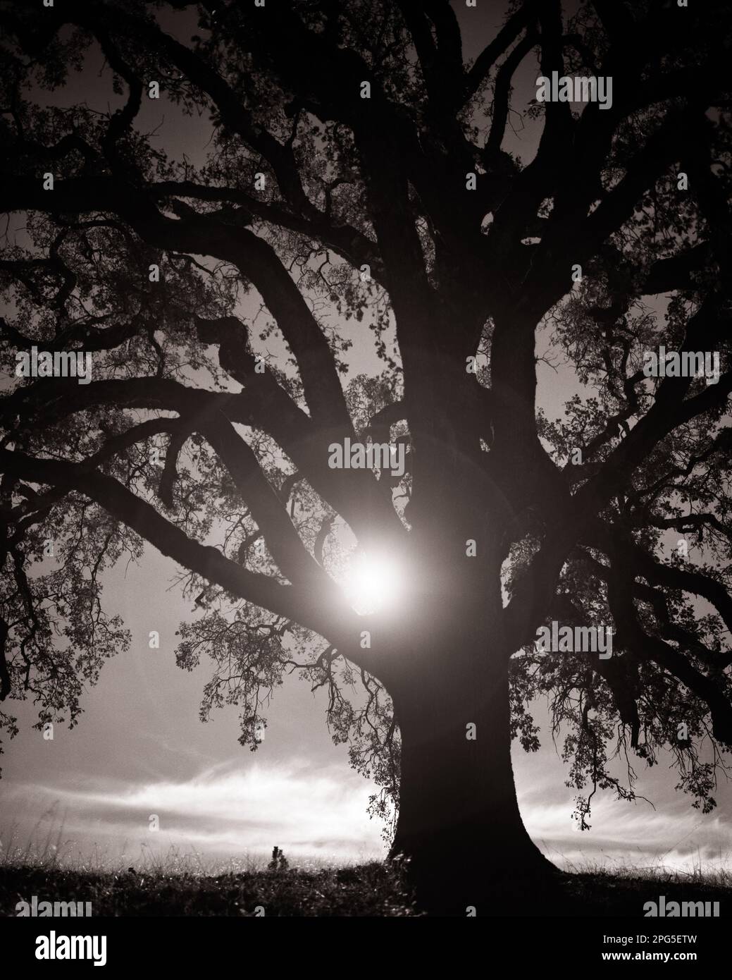 1920s setting hi-res stock photography and images - Alamy