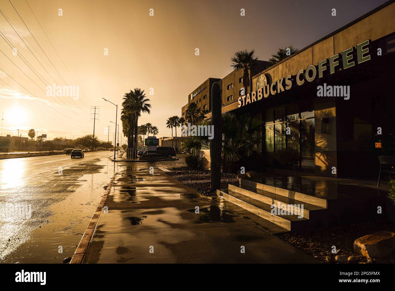 Starbucks coffee Colosio at sunset, cafeteria or coffee business with order and pick up service ...