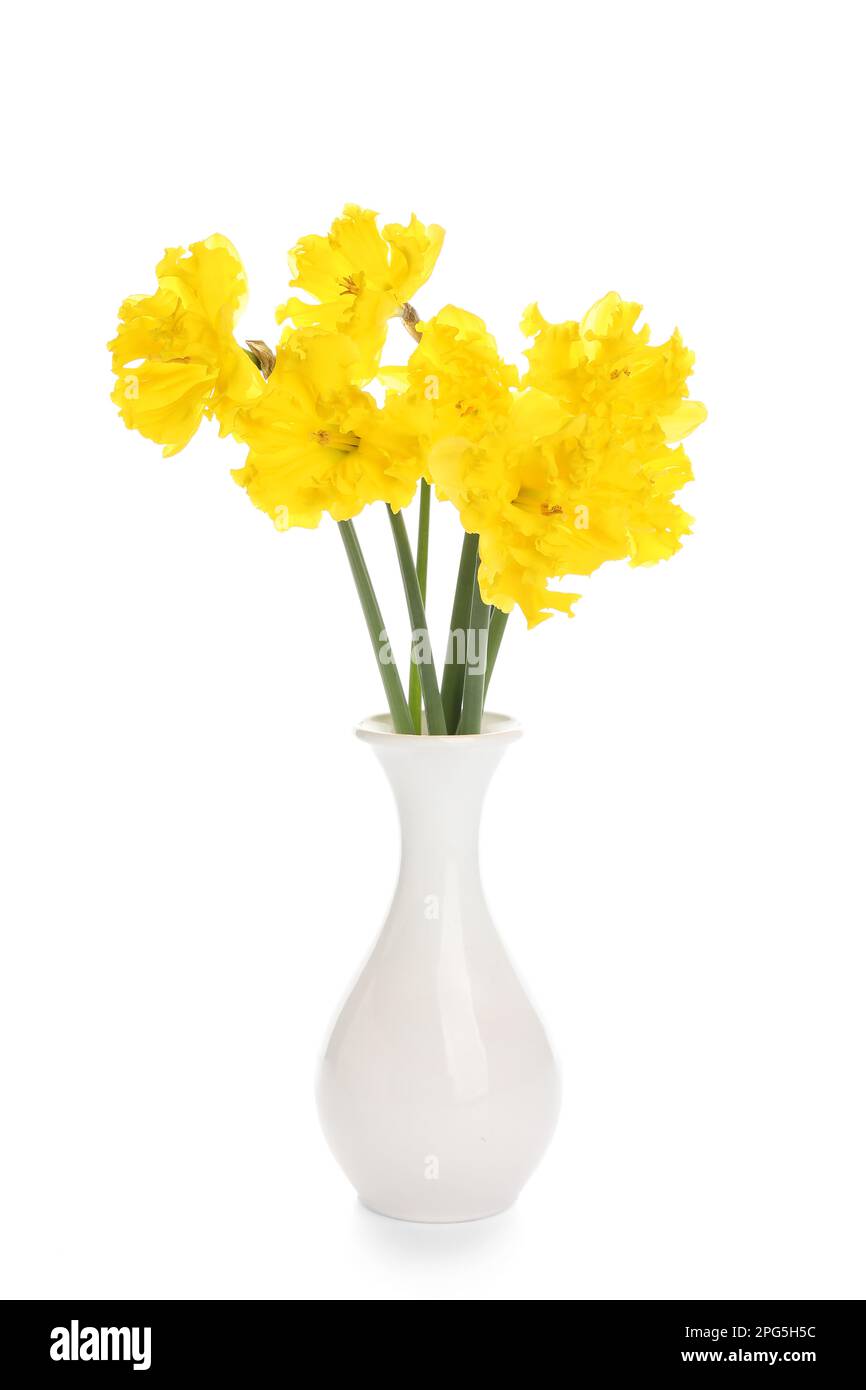 Narcissus flowers greeting card Cut Out Stock Images & Pictures - Alamy