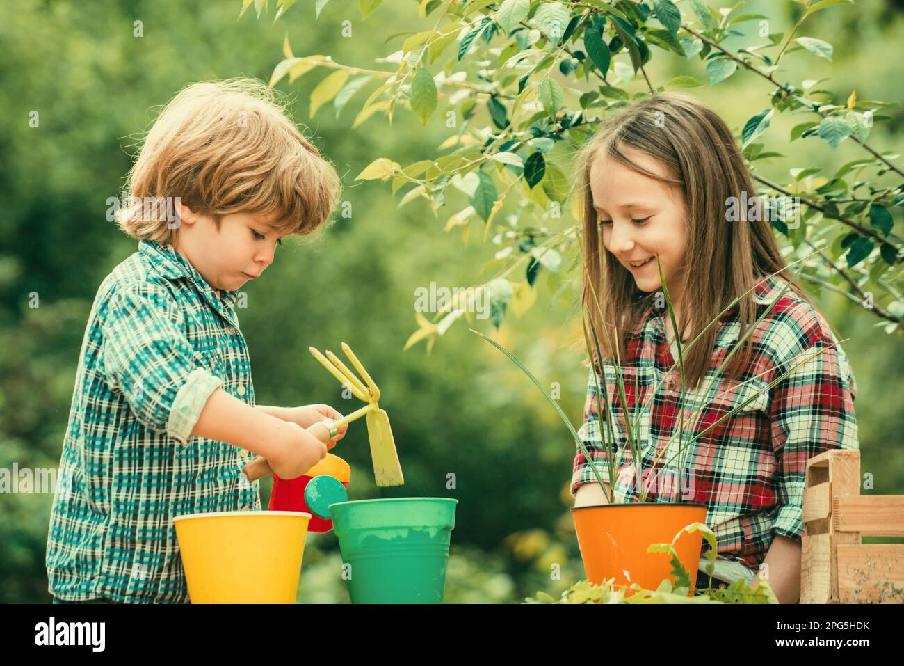 Kids planting flowers in pot. Two Happy children farmers working with ...