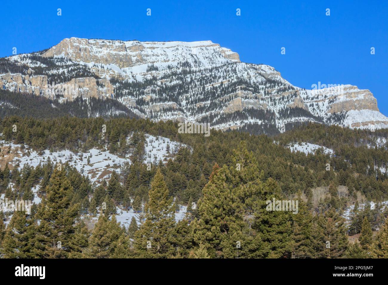 Steamboat sightseeing hi-res stock photography and images - Alamy