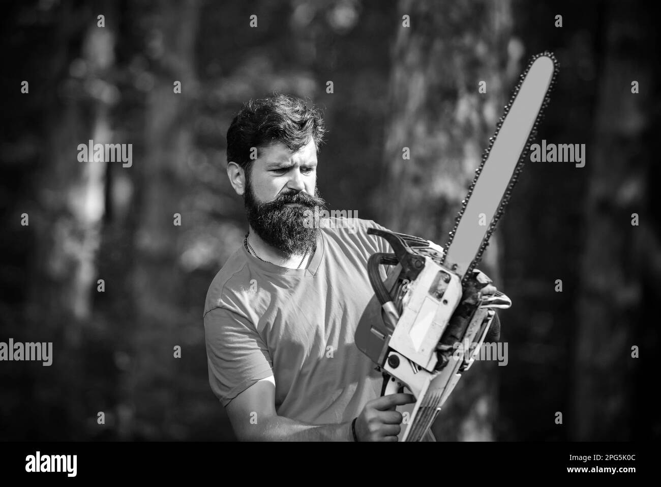 Man doing mans job. Logging. Lumberjack concept. Woodworkers lumberjack ...