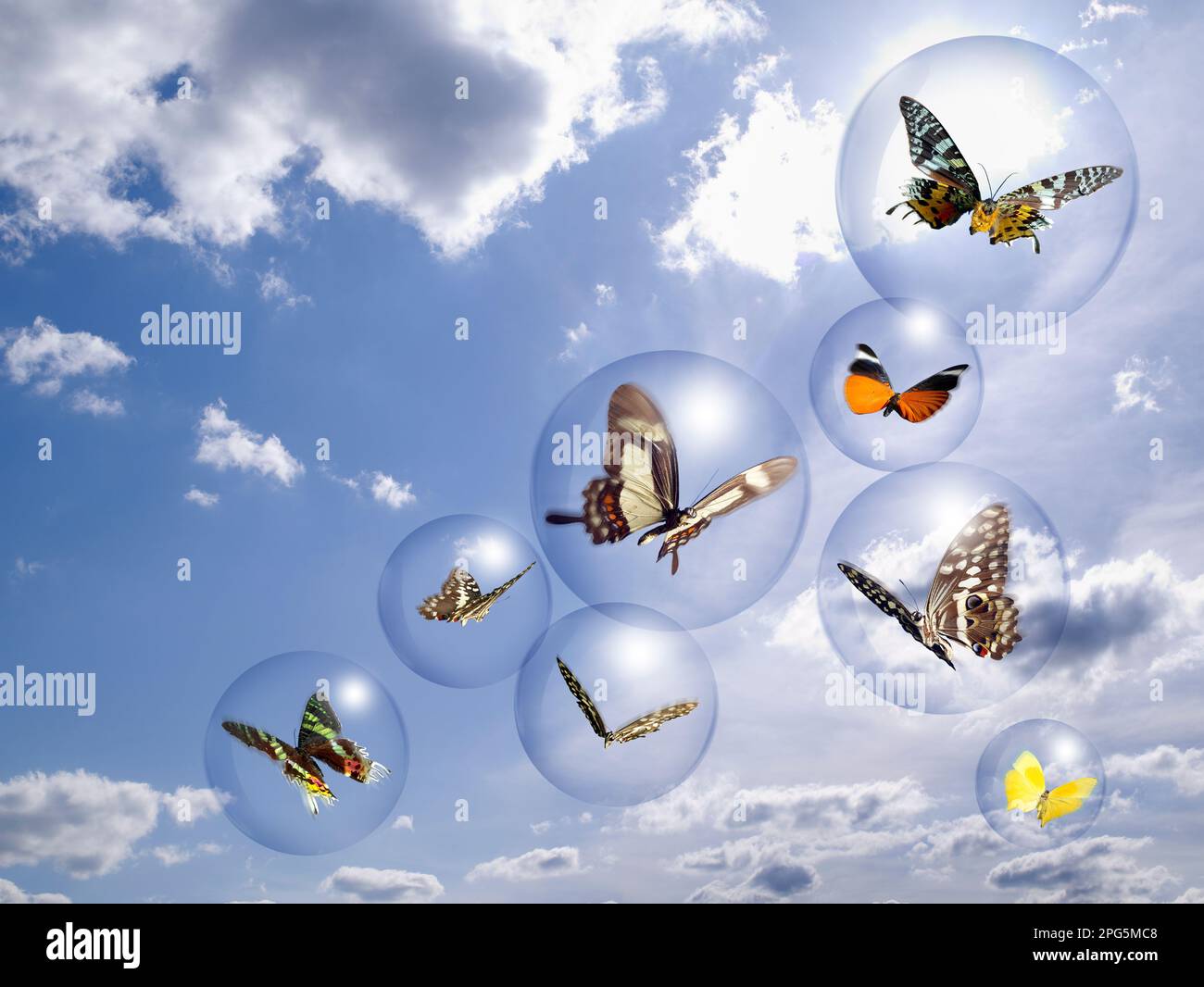 butterflies floating in bubbles Stock Photo - Alamy
