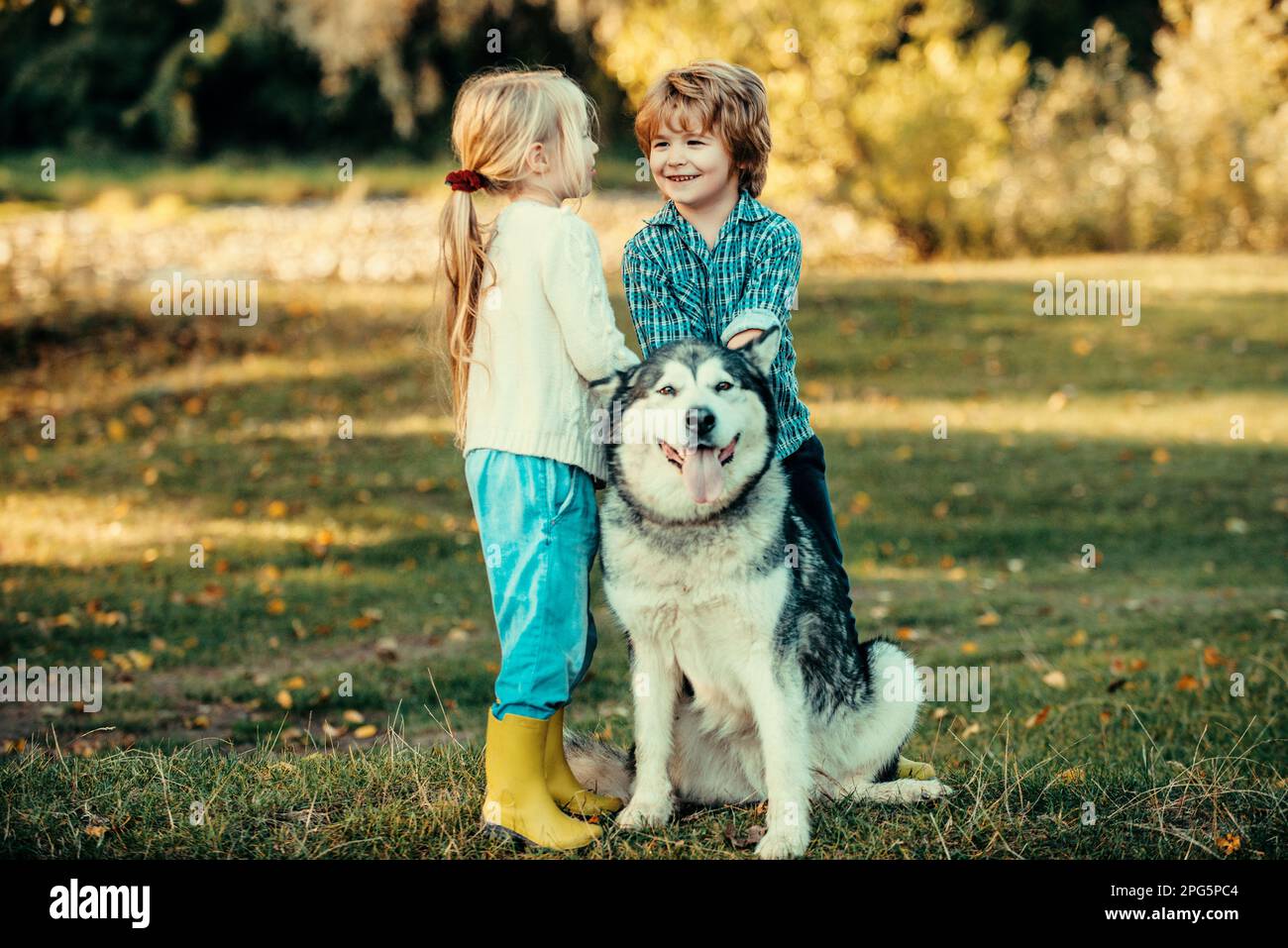 Funny Children brother and sister and dog together in park. Child 5 ...
