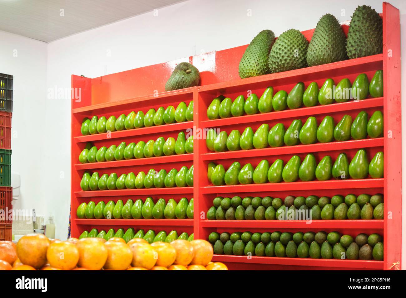Avocados on display for sale at a vegetable market, as well as soursop ...