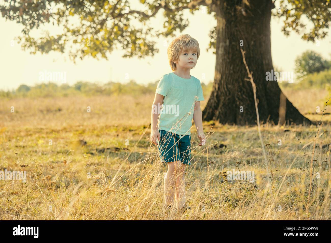 Funny child boy 5 years old on meadow in summer in nature. Happy child ...