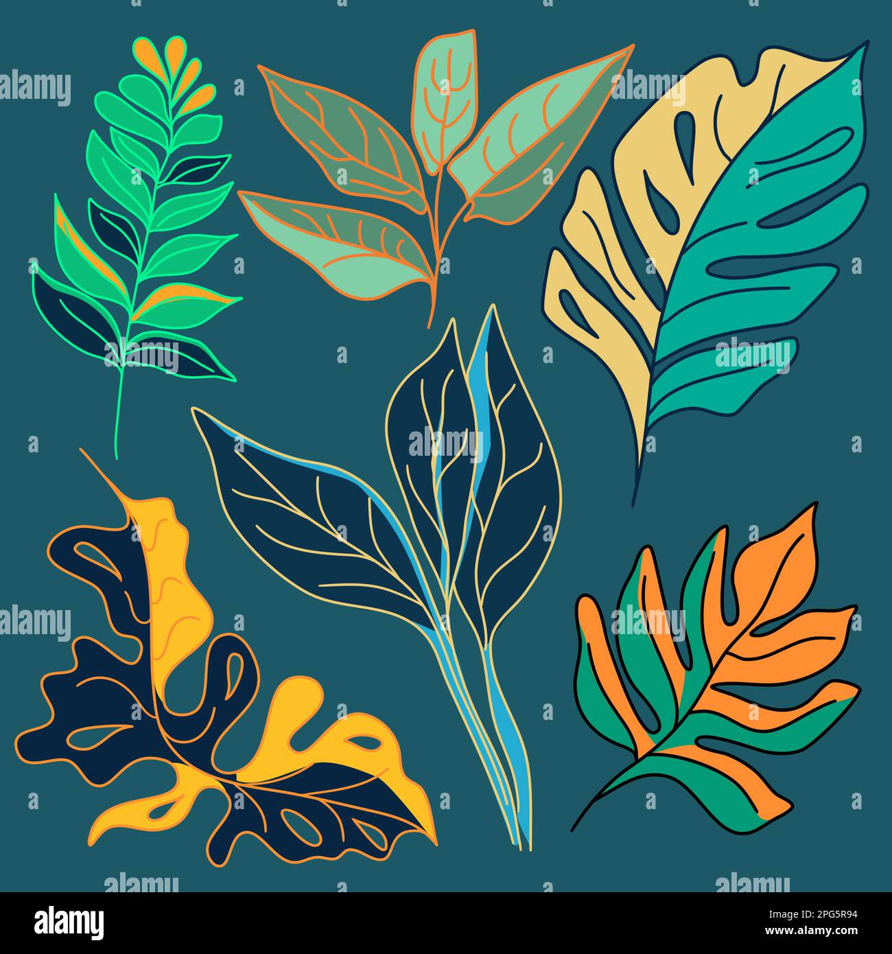 Monstera palm leaves plants Stock Vector Images - Alamy