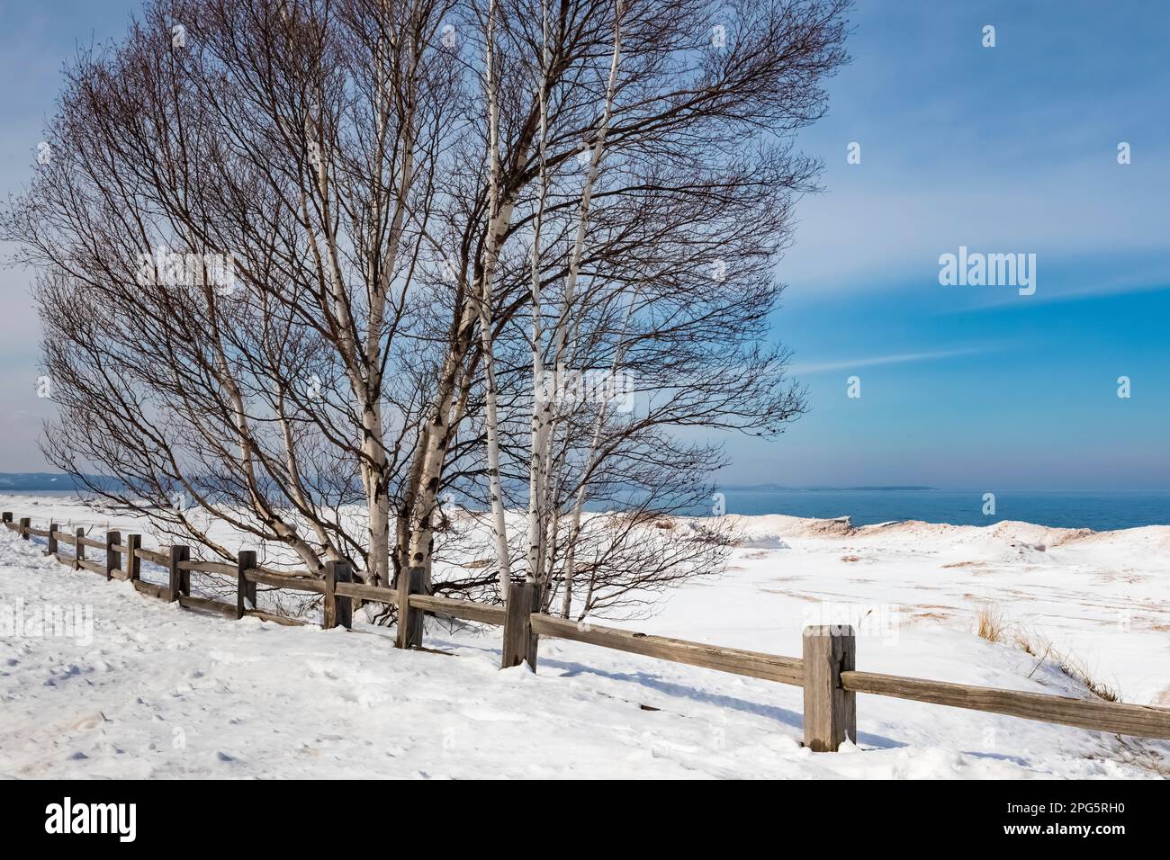 View of Lake Superior with Paper Birches along M-28 between Munising ...
