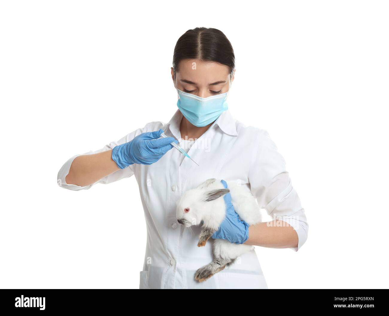 Scientist with syringe and rabbit on white background. Animal testing ...