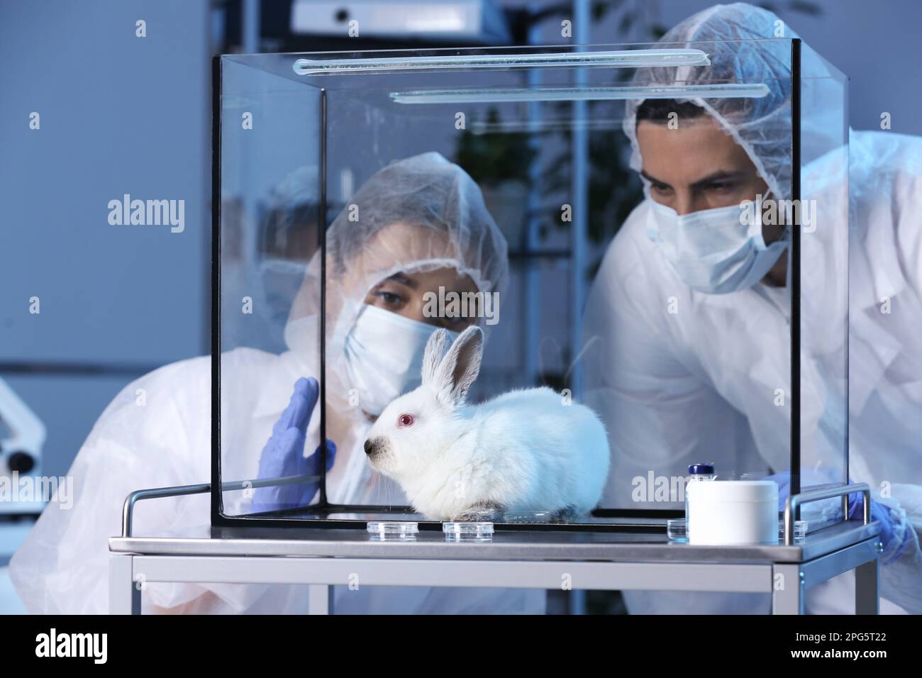 Observing animal laboratory hi-res stock photography and images - Alamy