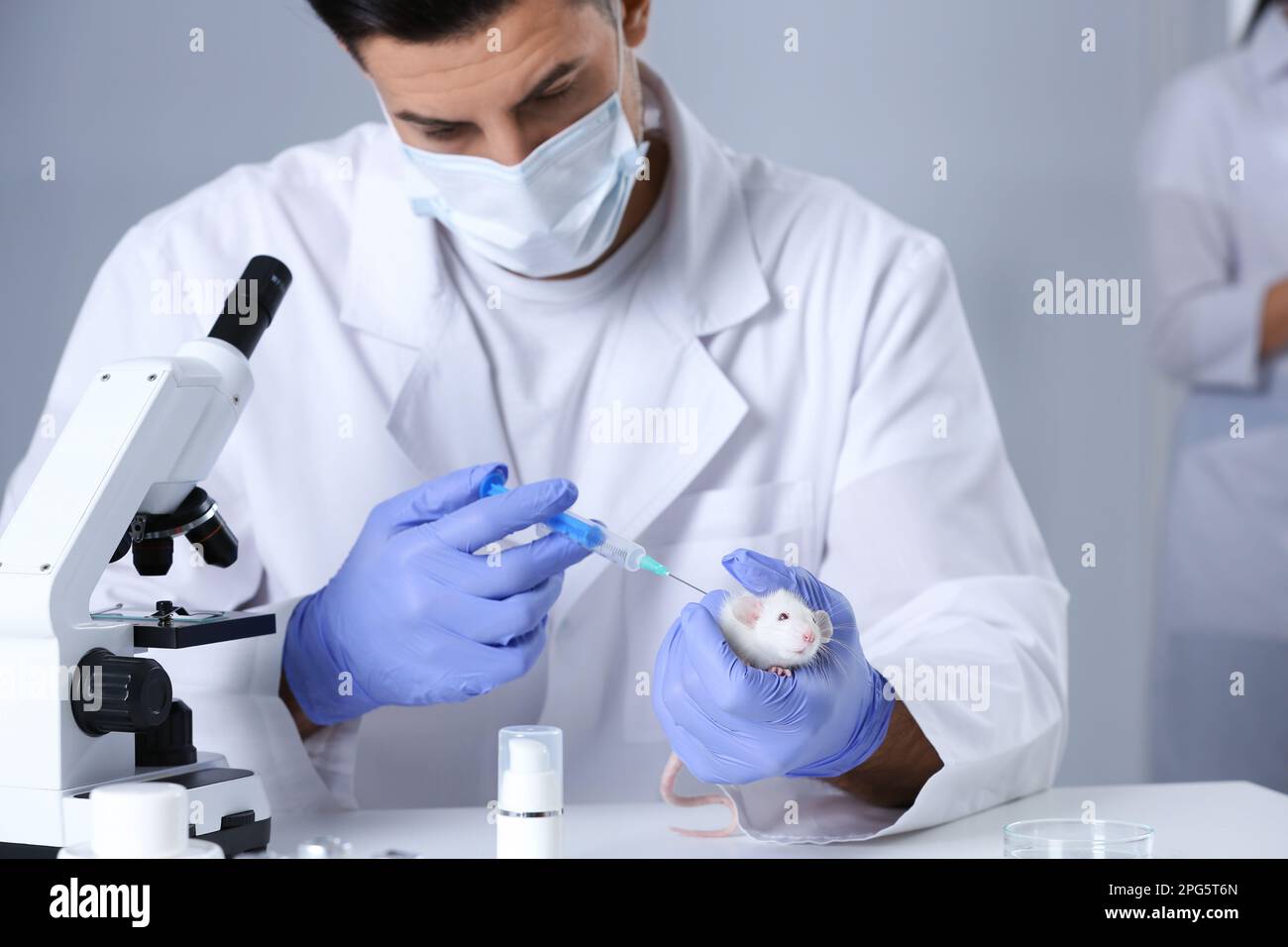 Scientist with syringe and rat in chemical laboratory. Animal testing ...