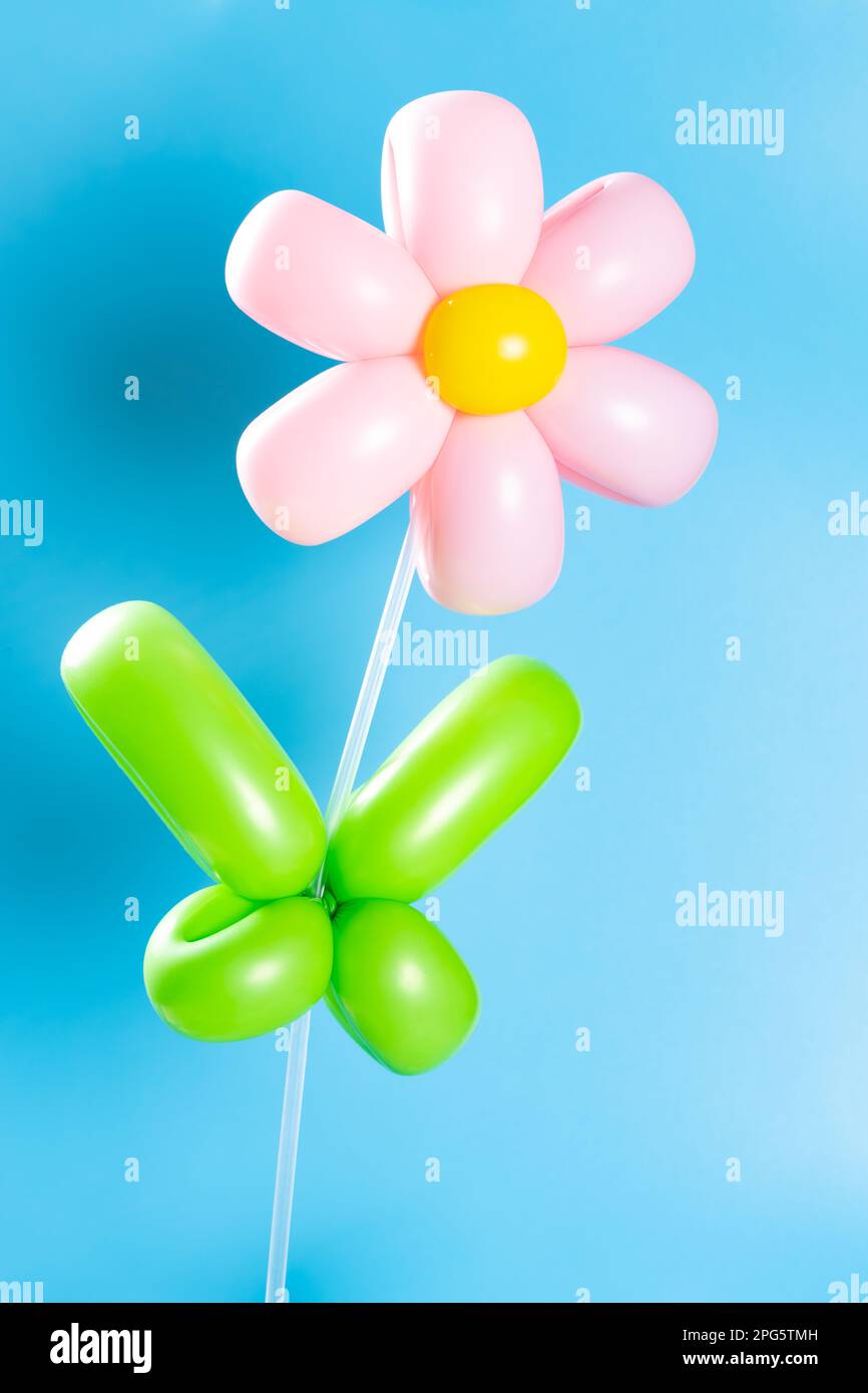 flower shape balloons on a blue background Stock Photo - Alamy