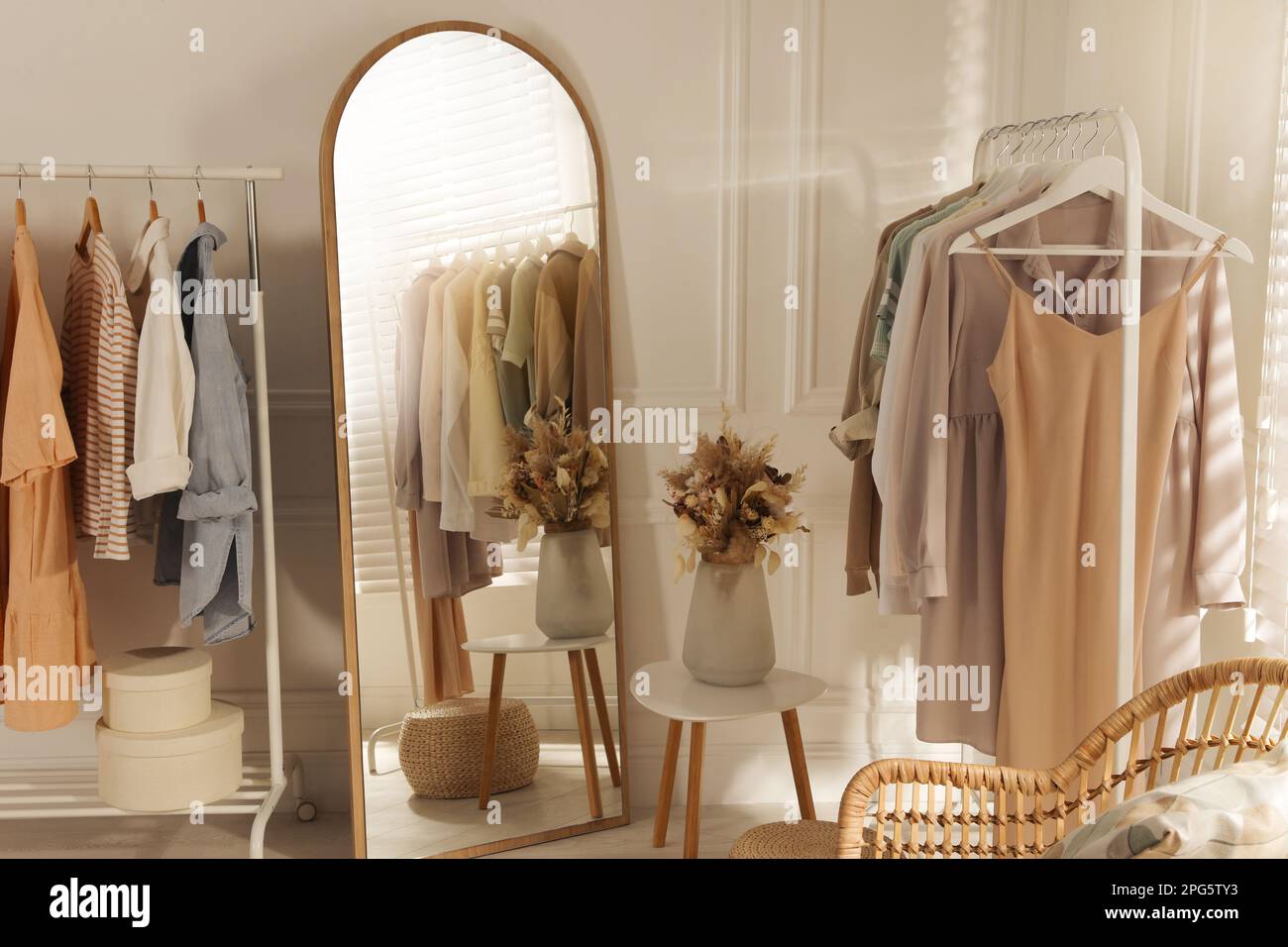 Modern dressing room interior with stylish clothes and beautiful dry ...
