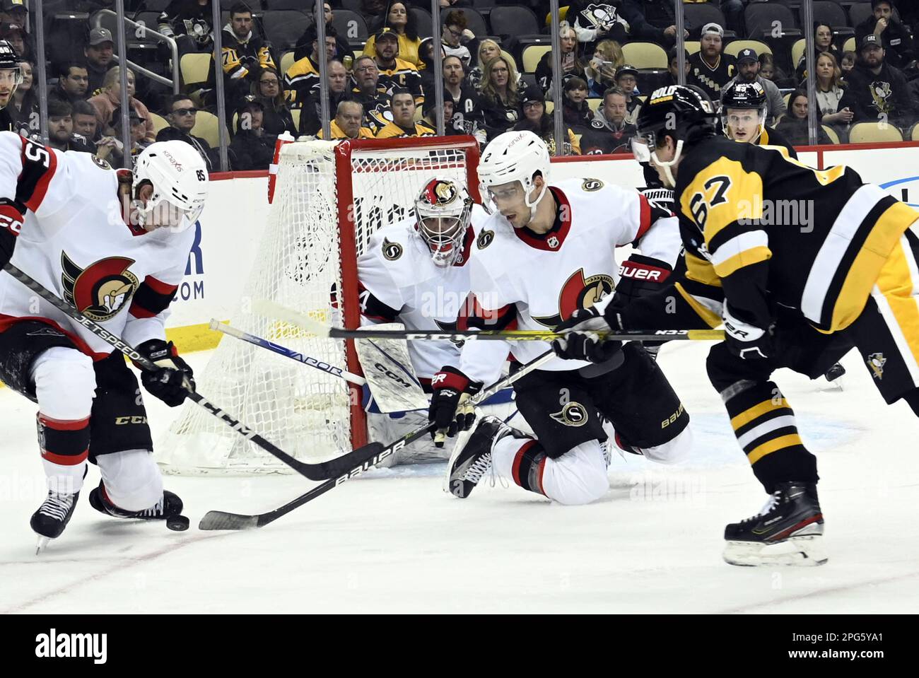 Zub artem hi-res stock photography and images - Alamy