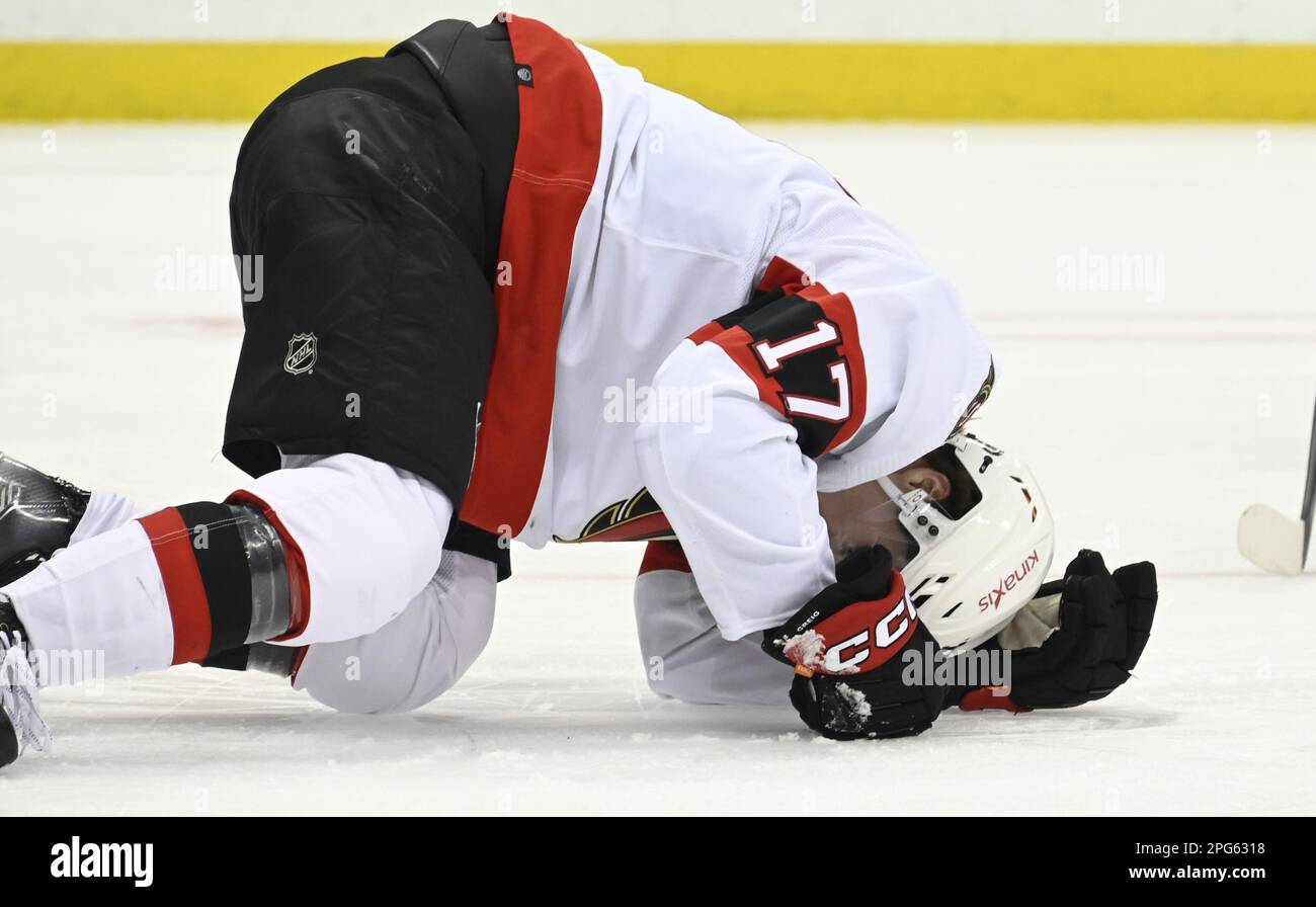 Ridly greig hi-res stock photography and images - Alamy