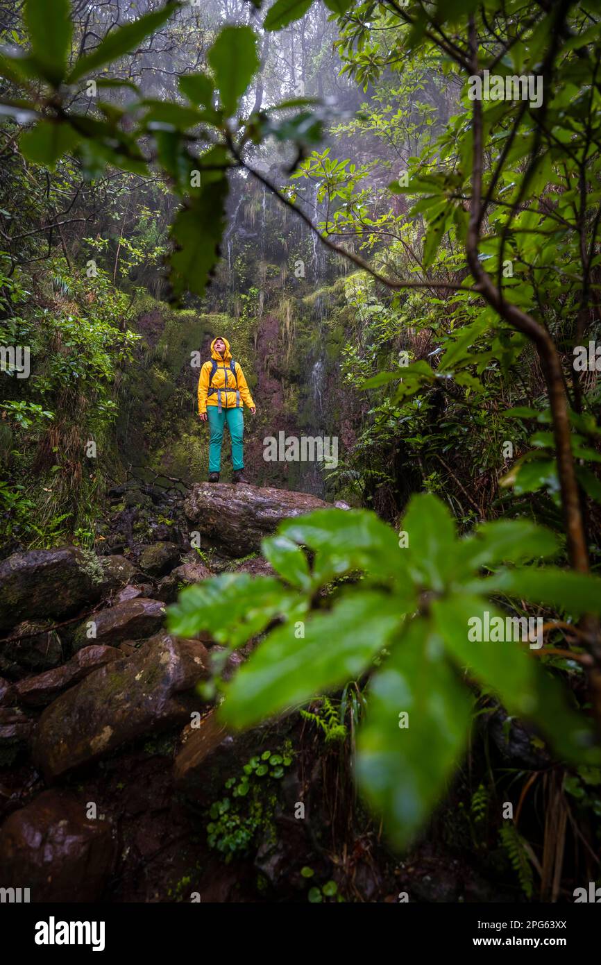 Hiker standing in the forest in front of waterfall at Vereda Francisco ...