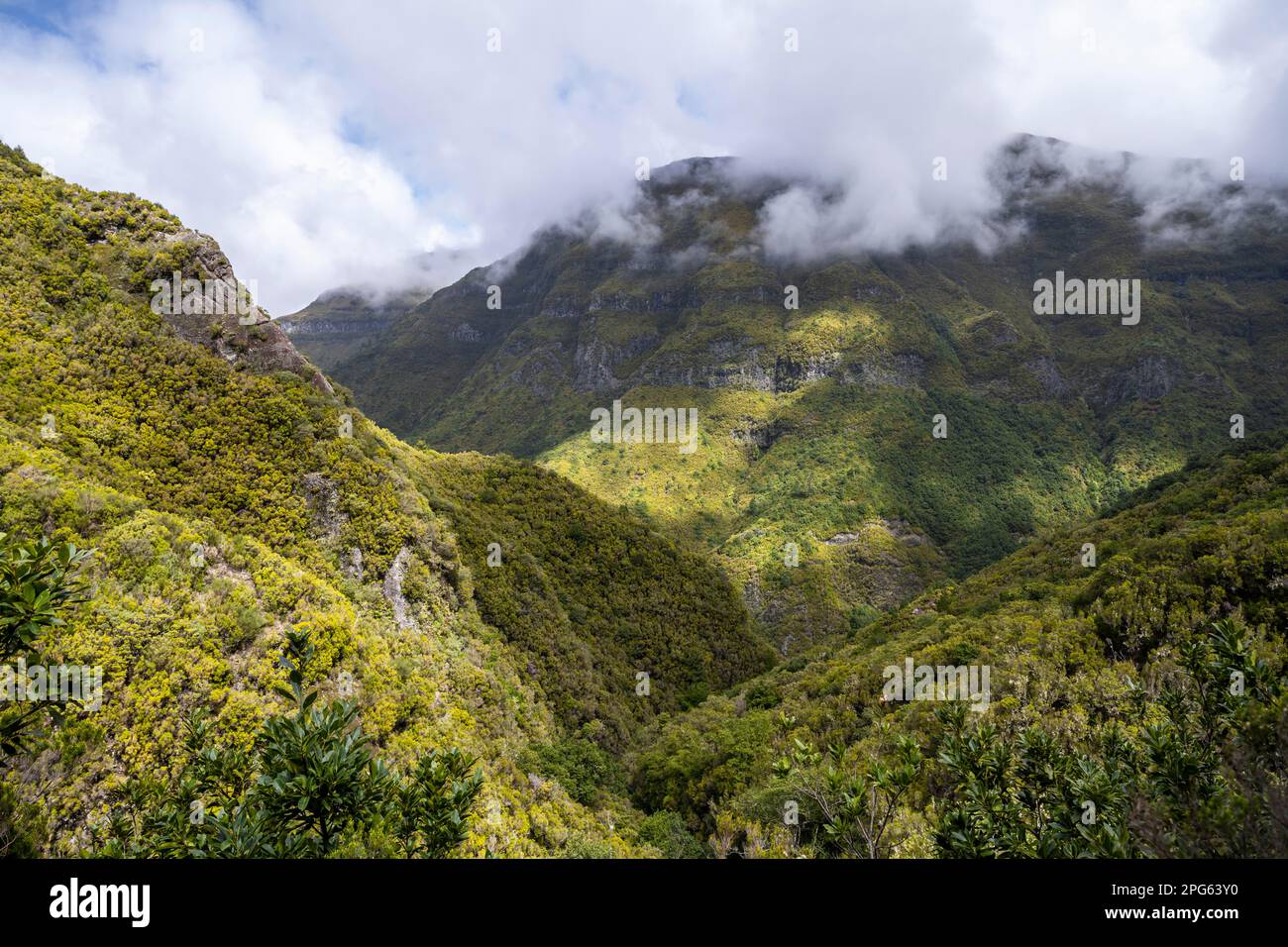 Green forest and hills of Rabacal, Paul da Serra, Madeira, Portugal ...