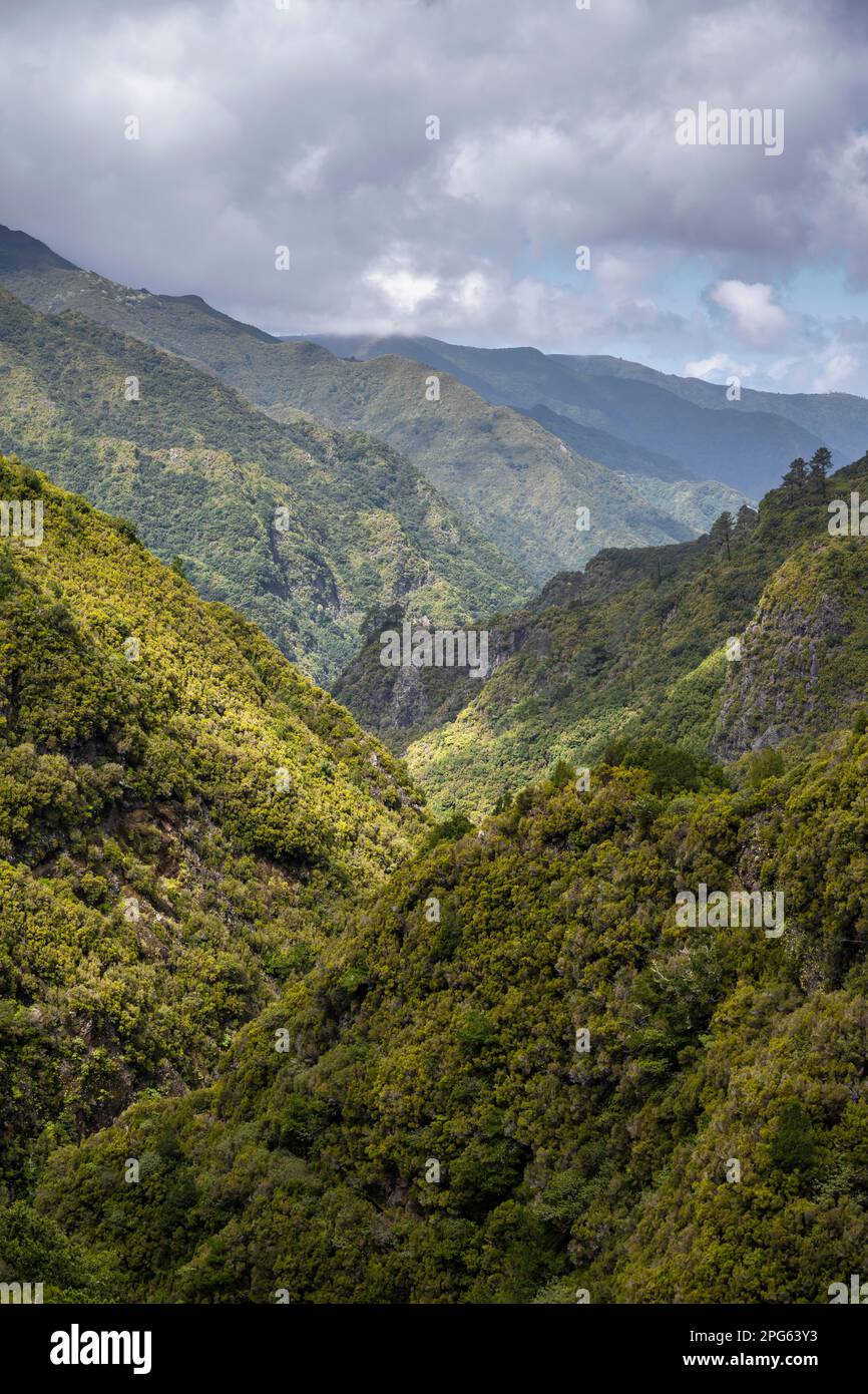 Rabacal nature reserve hi-res stock photography and images - Alamy