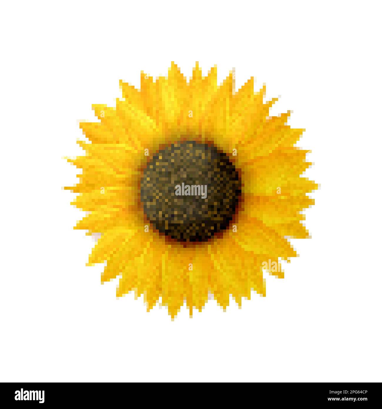 Sunflower vector icon. Pixel art illustration isolated on white ...