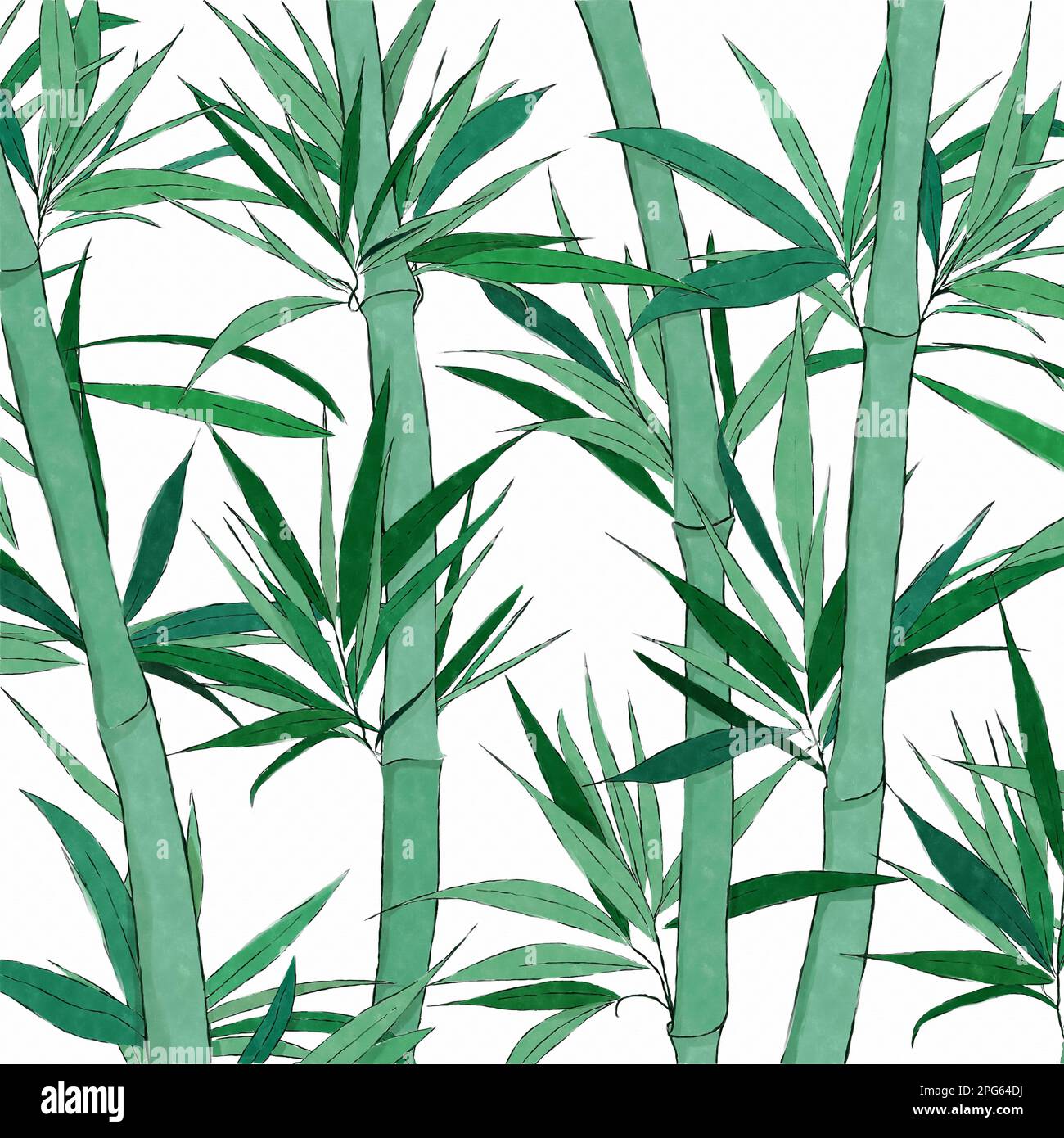 Bamboo forest drawing hi-res stock photography and images - Alamy