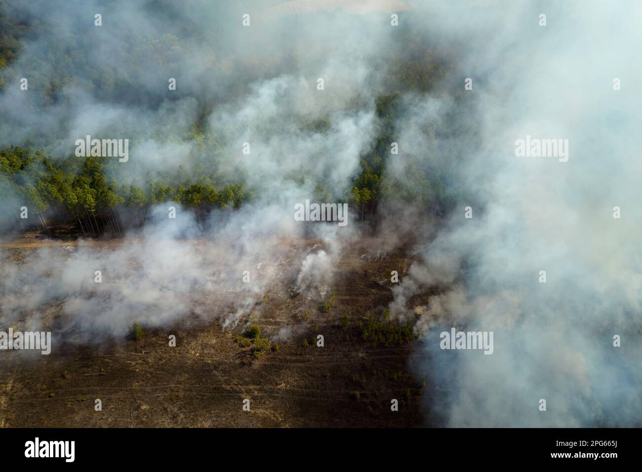 View from above of dense smoke from woodland and field on fire rising ...