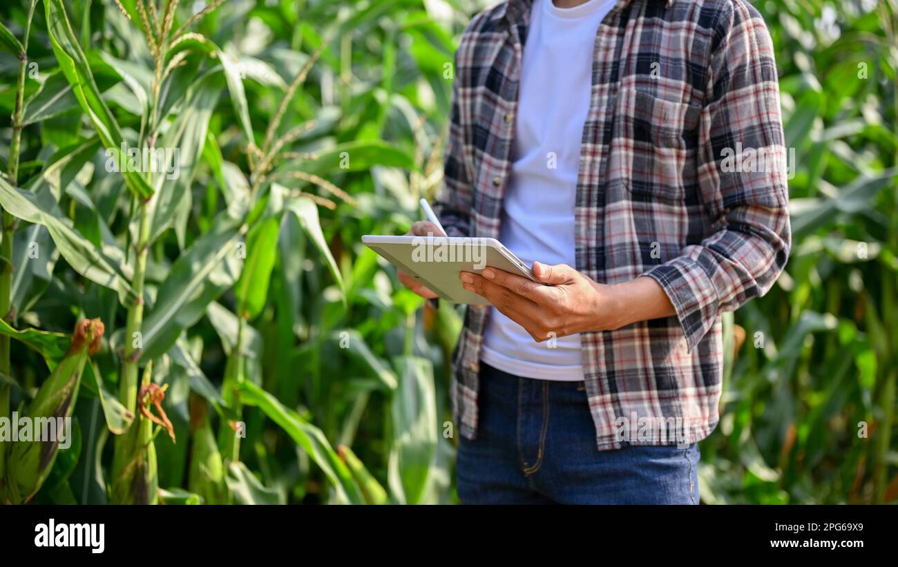 Close up view of male farm worker using digital tablet to keep up the ...