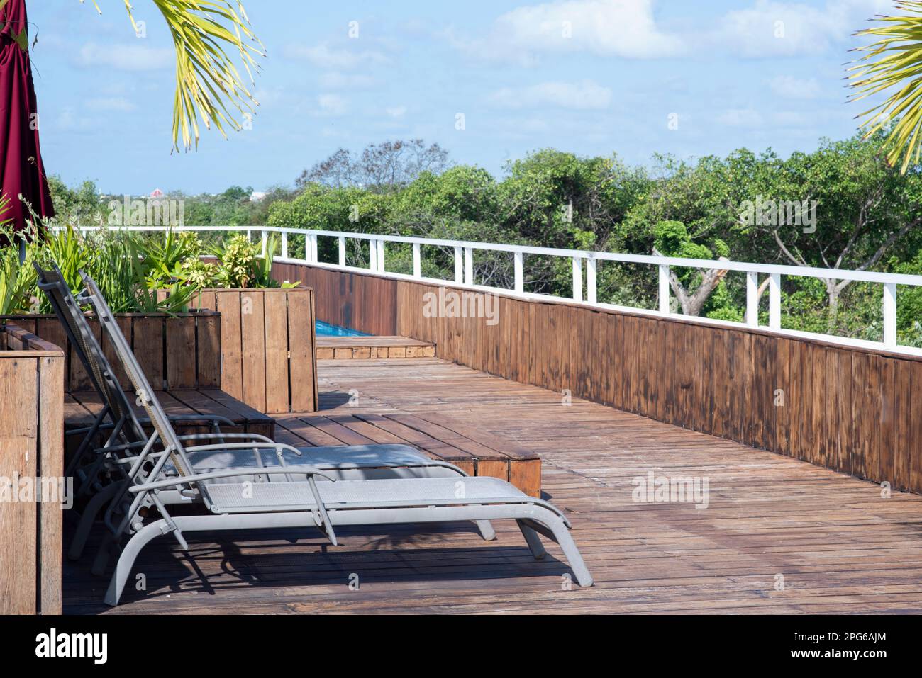 Outdoor Terrace with Wooden Floors and Sun Chairs in Lush Tropical ...