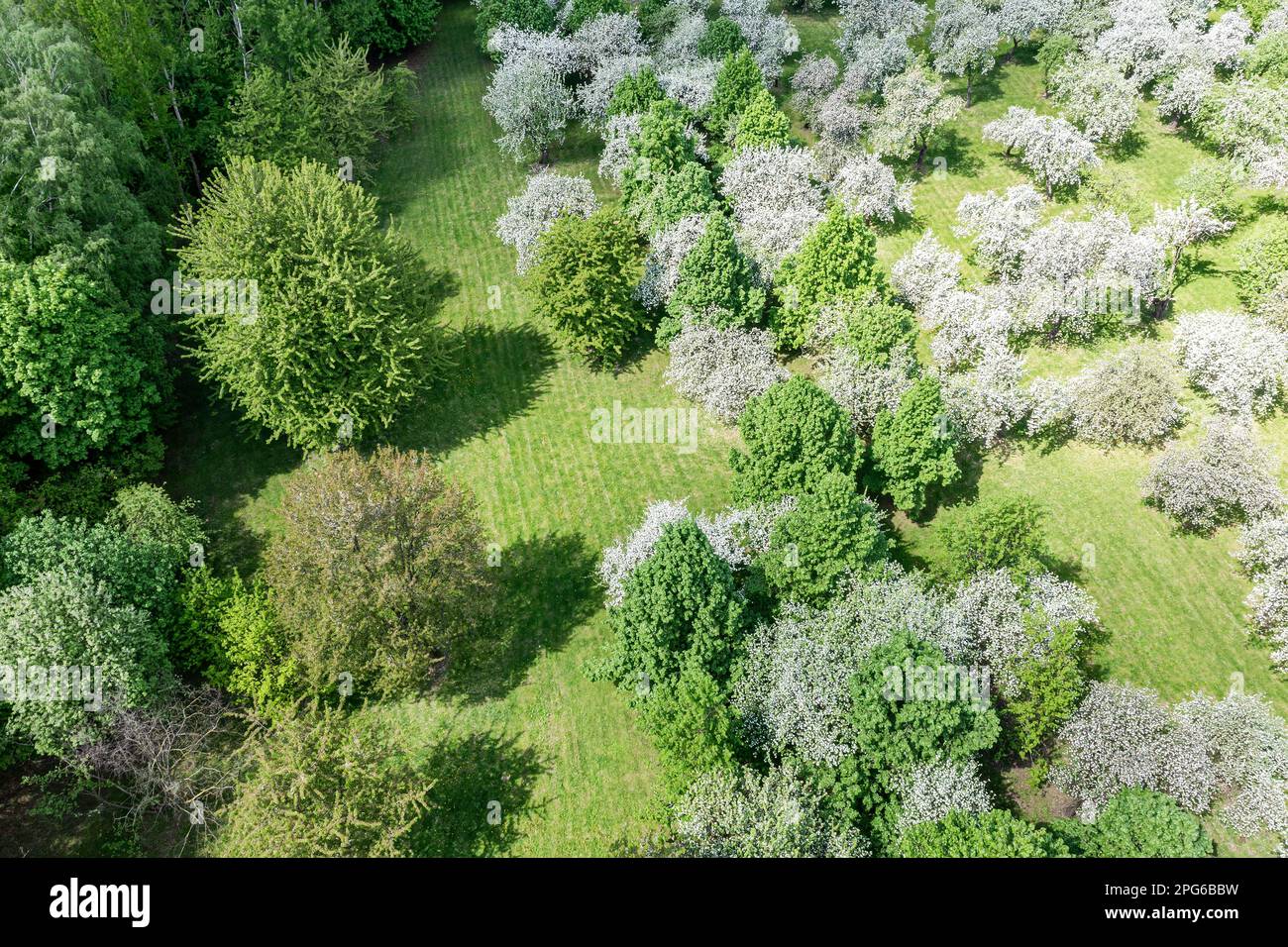 Aerial view orchard hi-res stock photography and images - Alamy