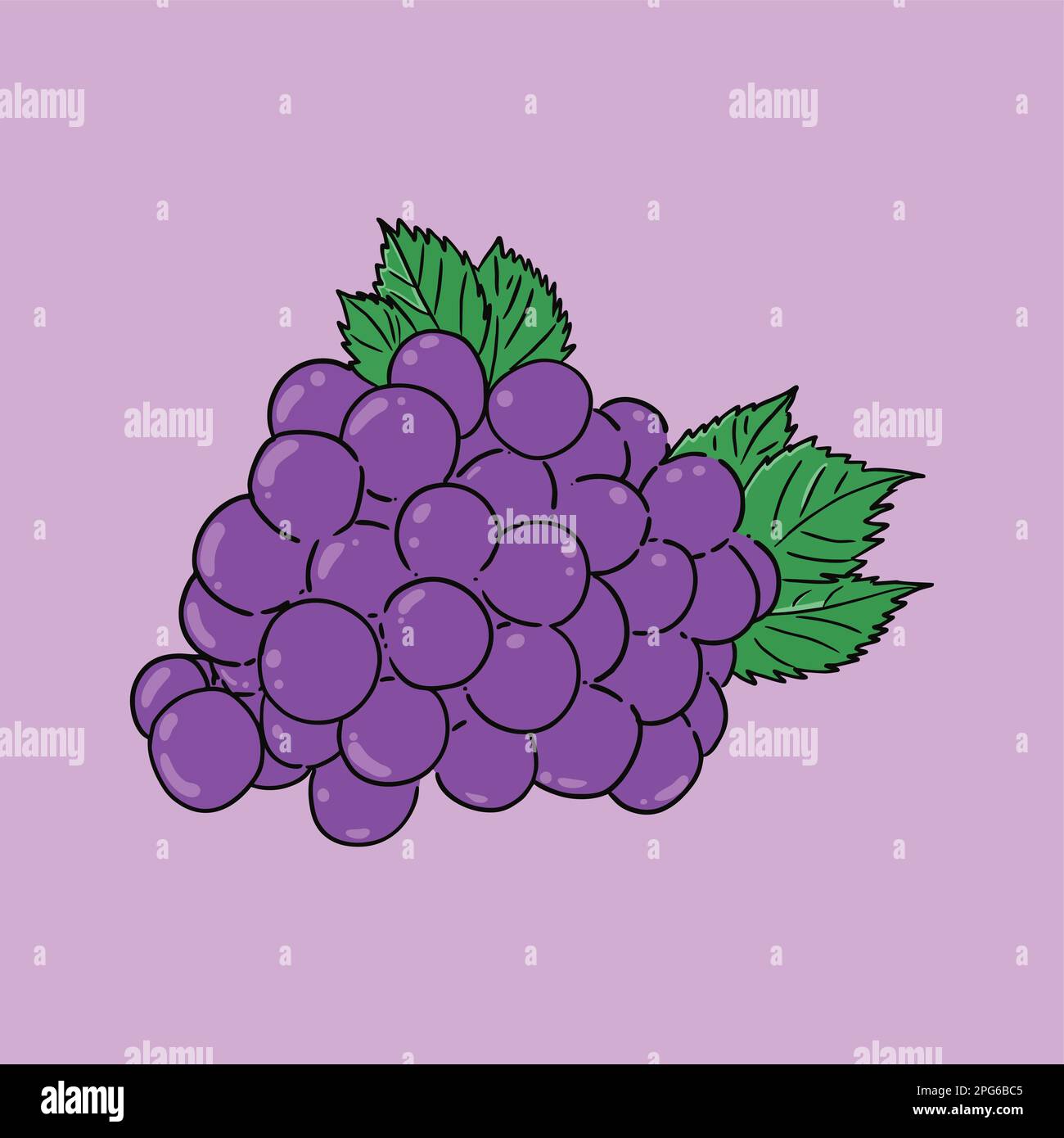 Grape Purple image vector illustrations Stock Vector Image & Art - Alamy