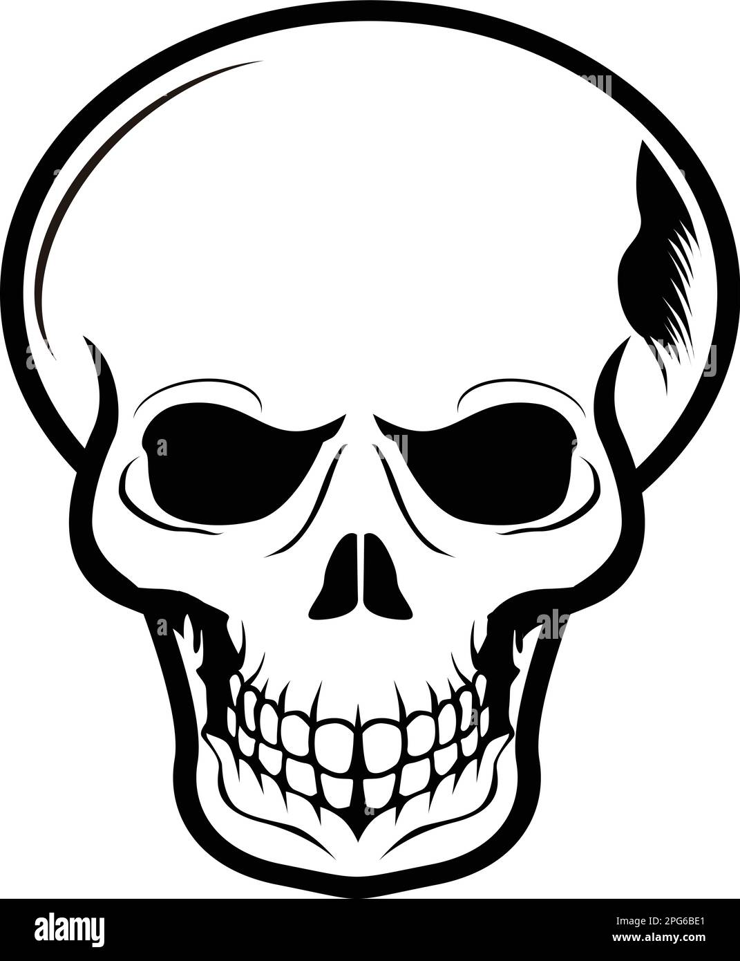 Human skull isolated on white Stock Vector Images - Alamy