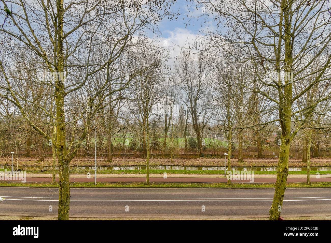trees with no leaves on them in the middle of an empty street and some ...